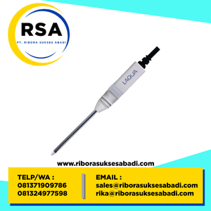 Jual Horiba Temperature Electrode External Temperature Probe - PT.Ribora Sukses Abadi